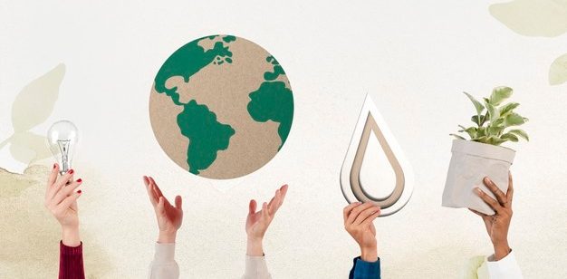 Saiba como Diferenciar Produtos: Sustentáveis, Verdes e Ecológicos ...